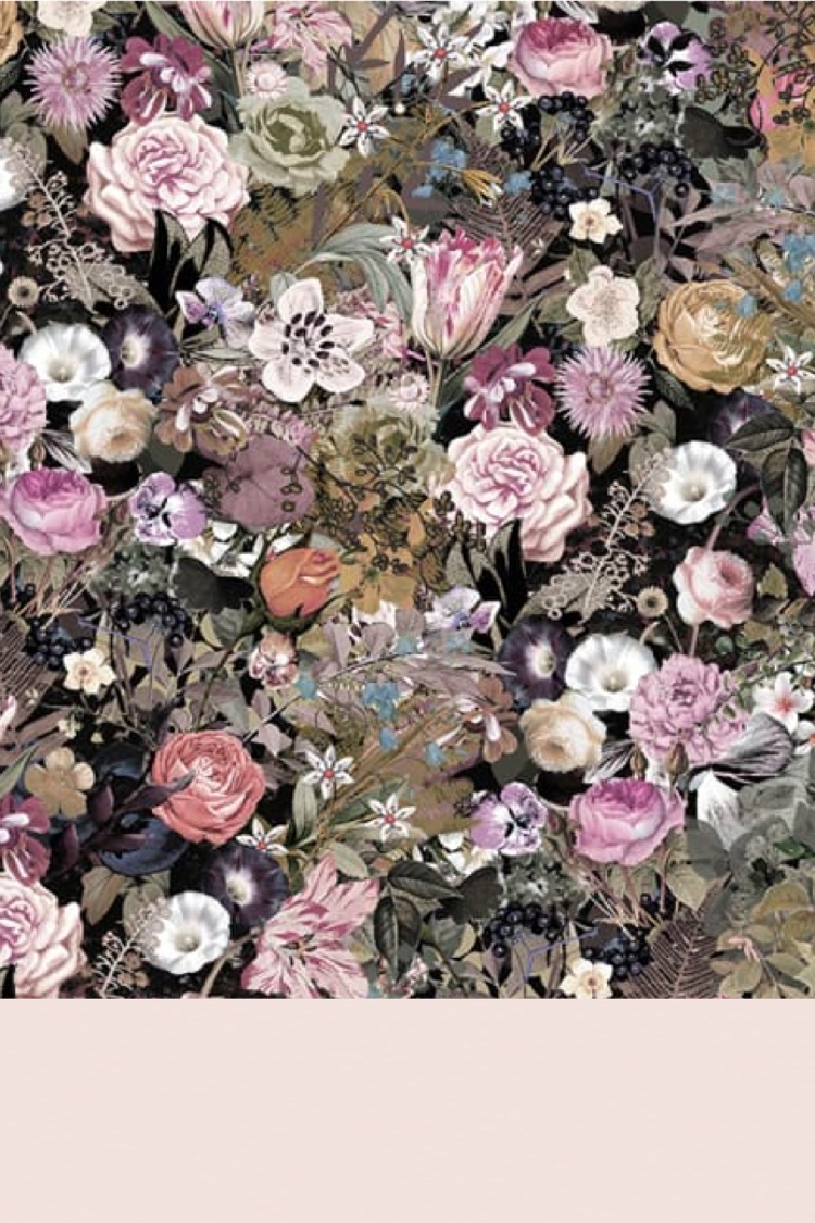 First Light Color Review - Benjamin Moore Color of The Year