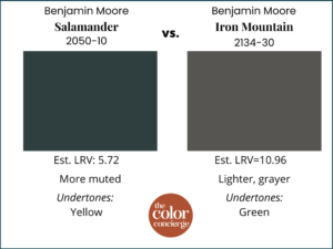 Benjamin Moore Salamander Color Review
