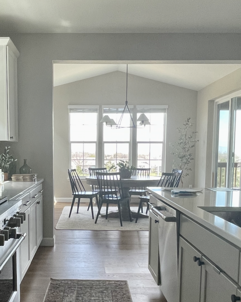 Sherwin-Williams Accessible Beige Color Review - Color Concierge