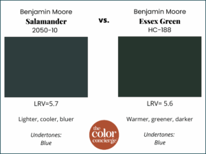 Benjamin Moore Salamander Color Review