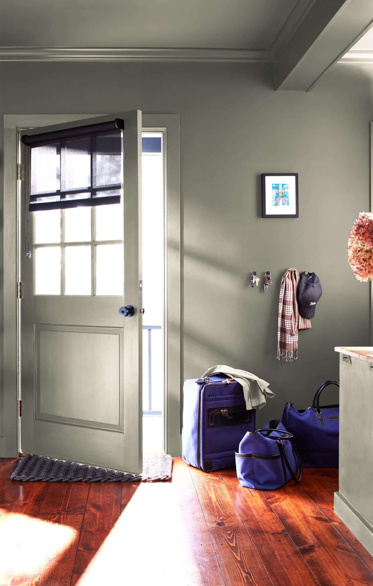 Benjamin Moore Color of the Year 2024: Blue Nova (825) - Color Concierge