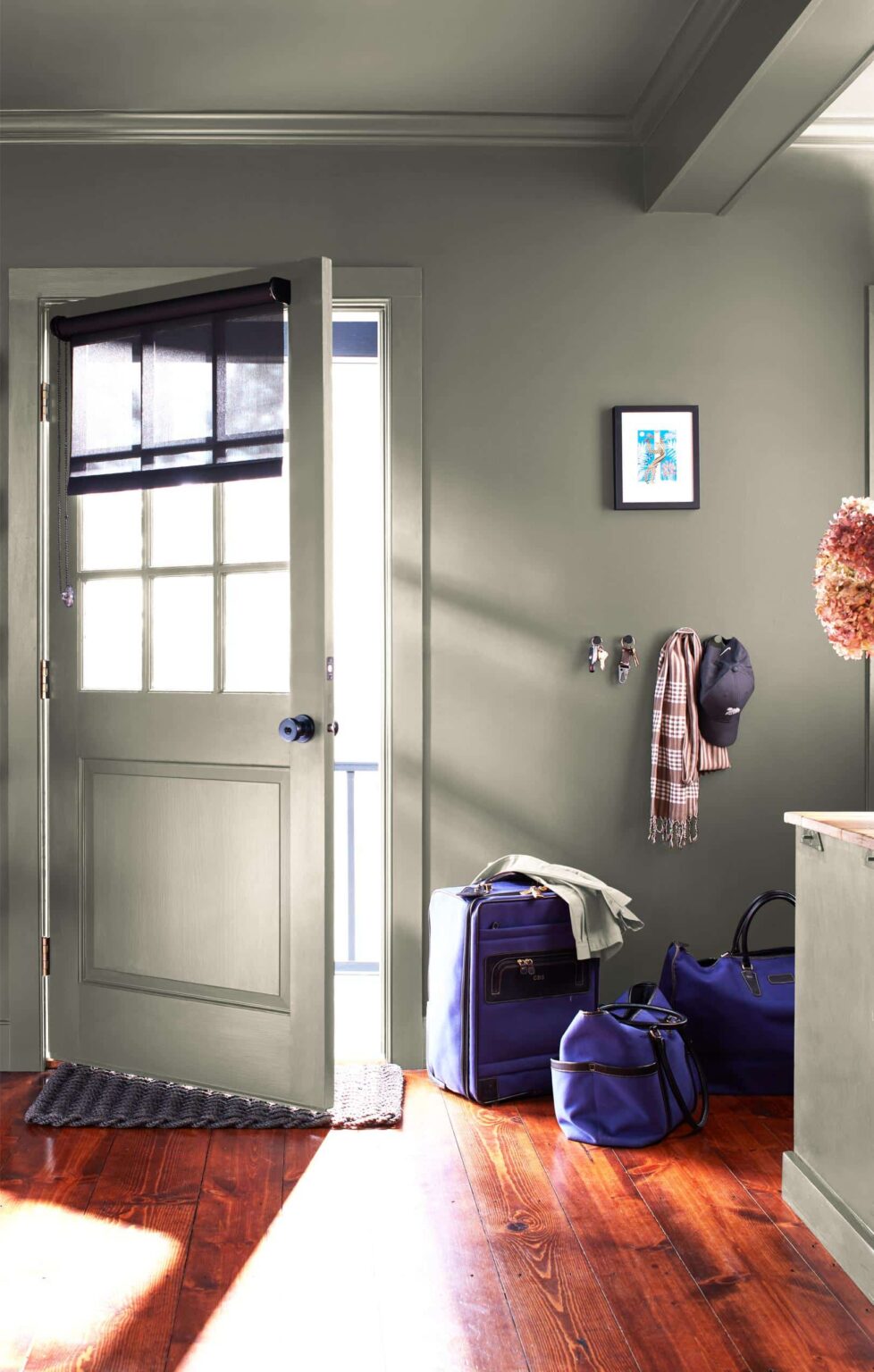 Benjamin Moore Color of the Year 2024: Blue Nova (825) - Color Concierge