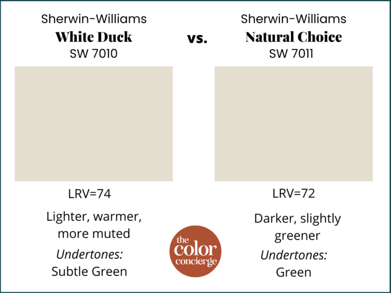 Sherwin-Williams White Duck Color Review - Color Concierge