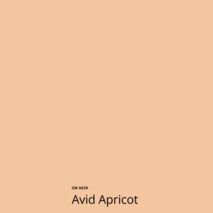 Sherwin-Williams Avid Apricot (SW 6639) Color Review - Color Concierge
