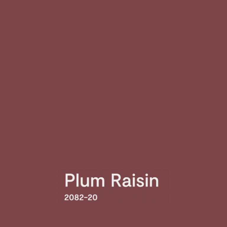 Benjamin Moore Cornsilk (198) Paint Color Review - Color Concierge